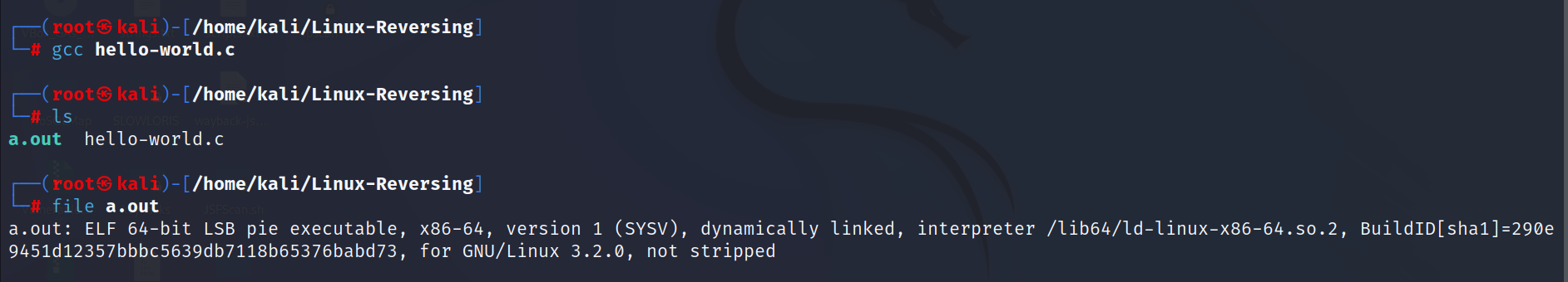 Reversing Linux Applications - SecurityBoat Workbook