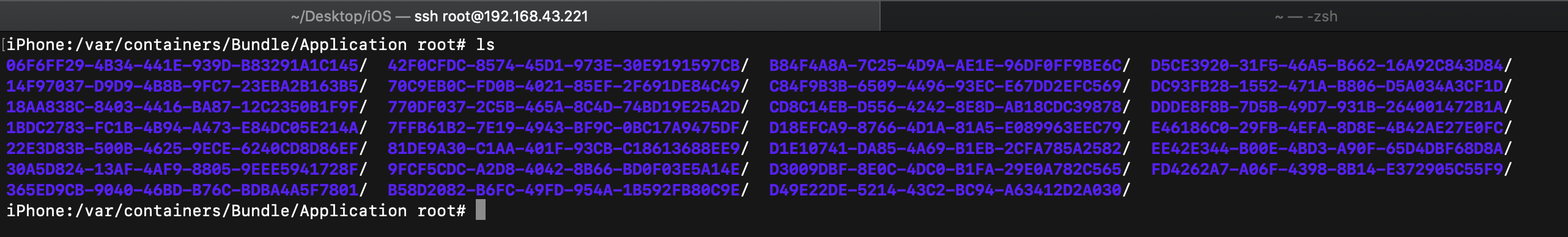 How to Extract an IPA from an iDevice Manually - SecurityBoat Workbook