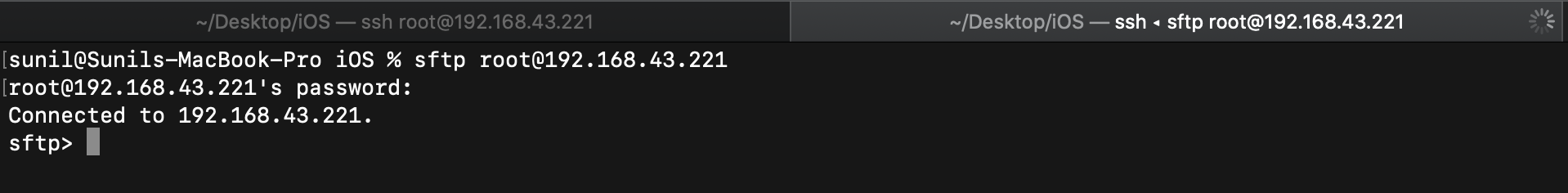 How to Extract an IPA from an iDevice Manually - SecurityBoat Workbook